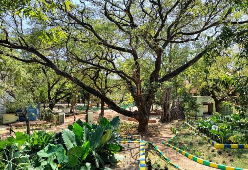 The city of 1000 tanks: a game-changing approach to address sewage ...