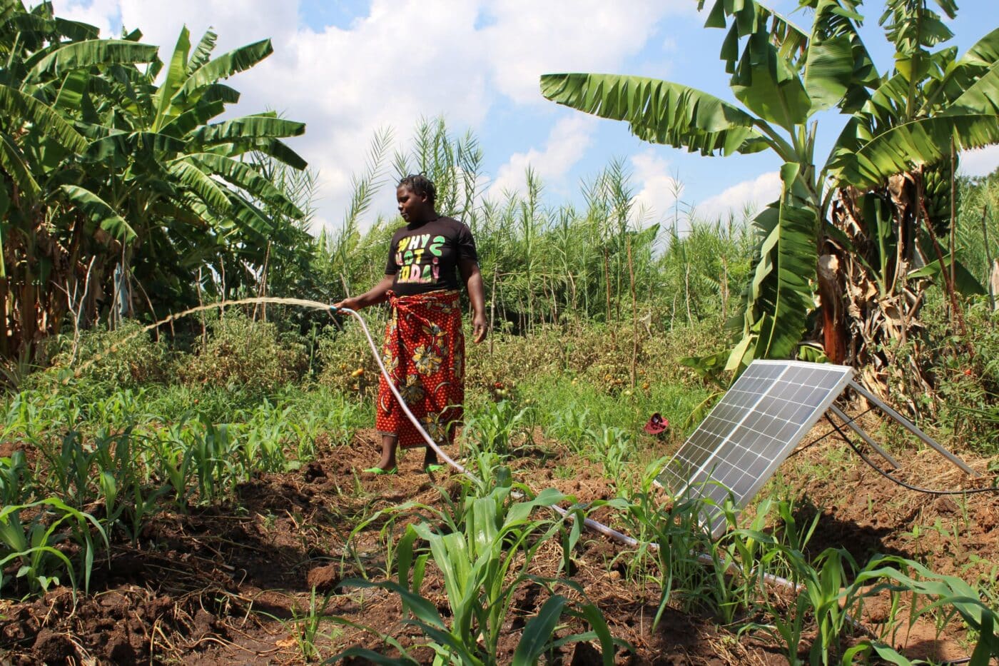 Homepage - Partners for Water