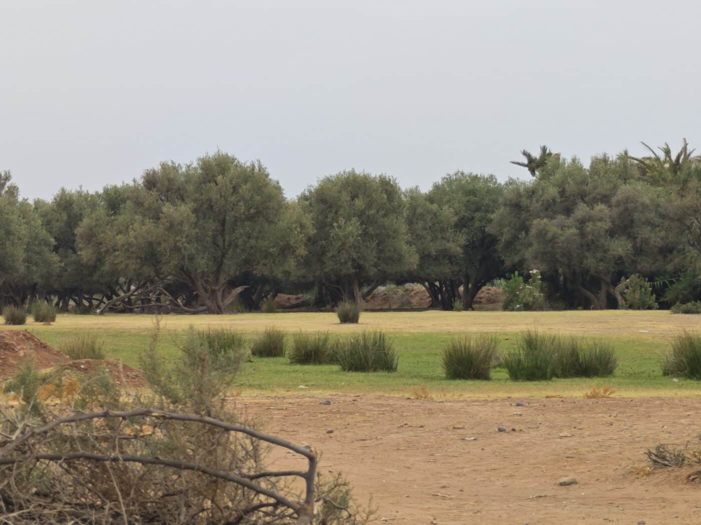 eLEAF: A simple dashboard with endless possibilities - Partners for Water