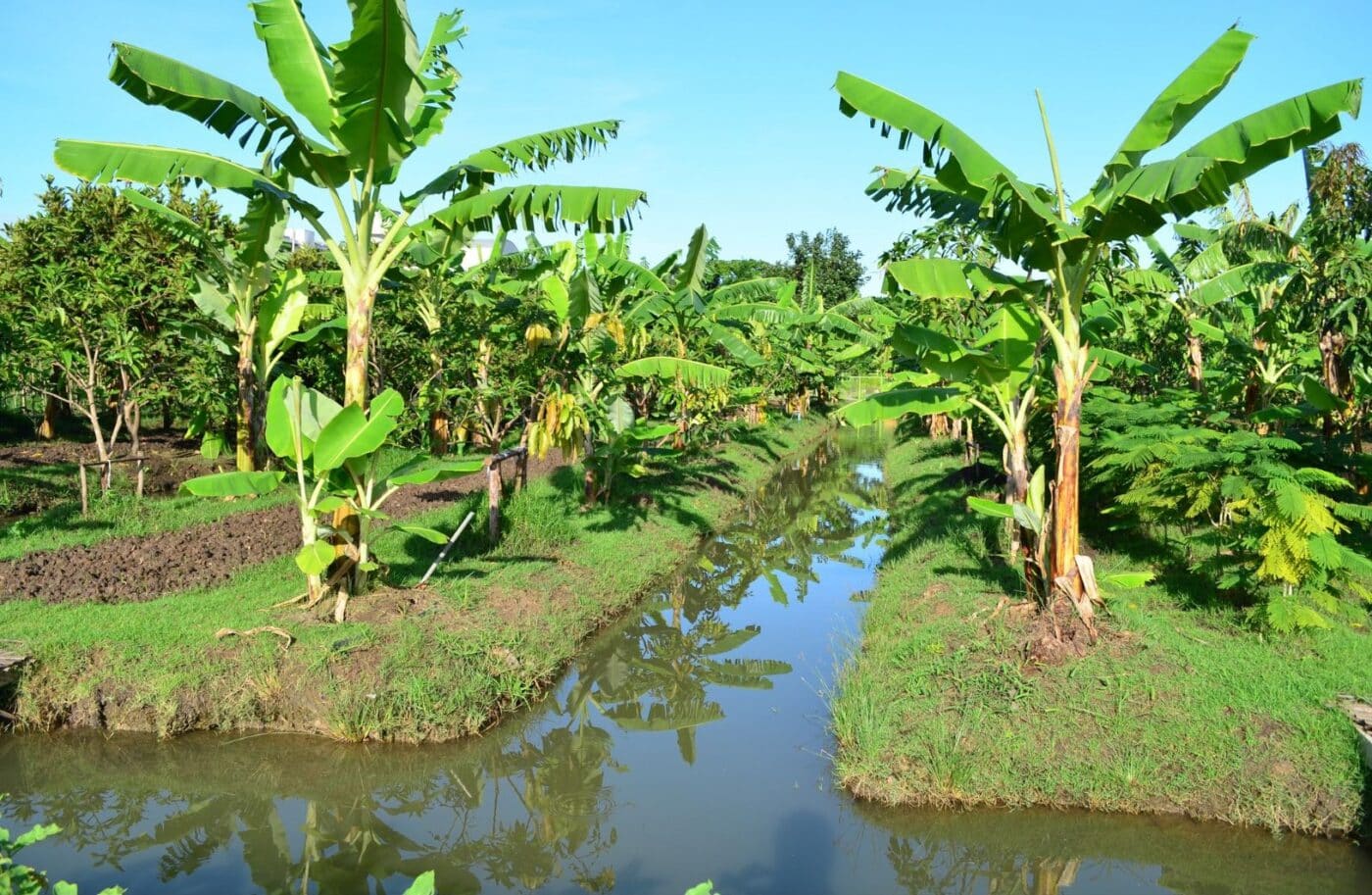 17 innovative projects funded with Partners for Water subsidies ...